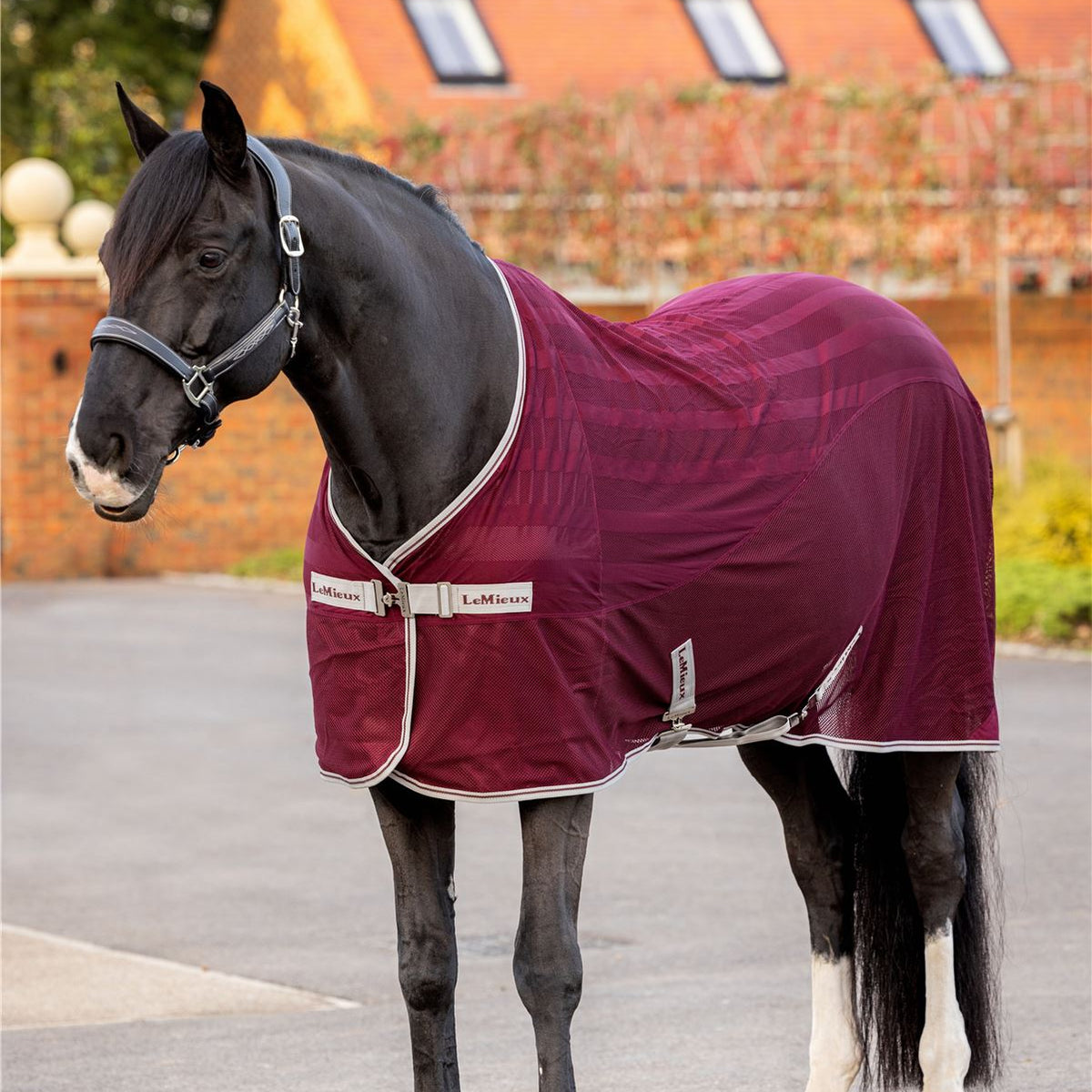 LeMieux Arika Air-Tek Sheet | Lightweight – Just Horse Riders