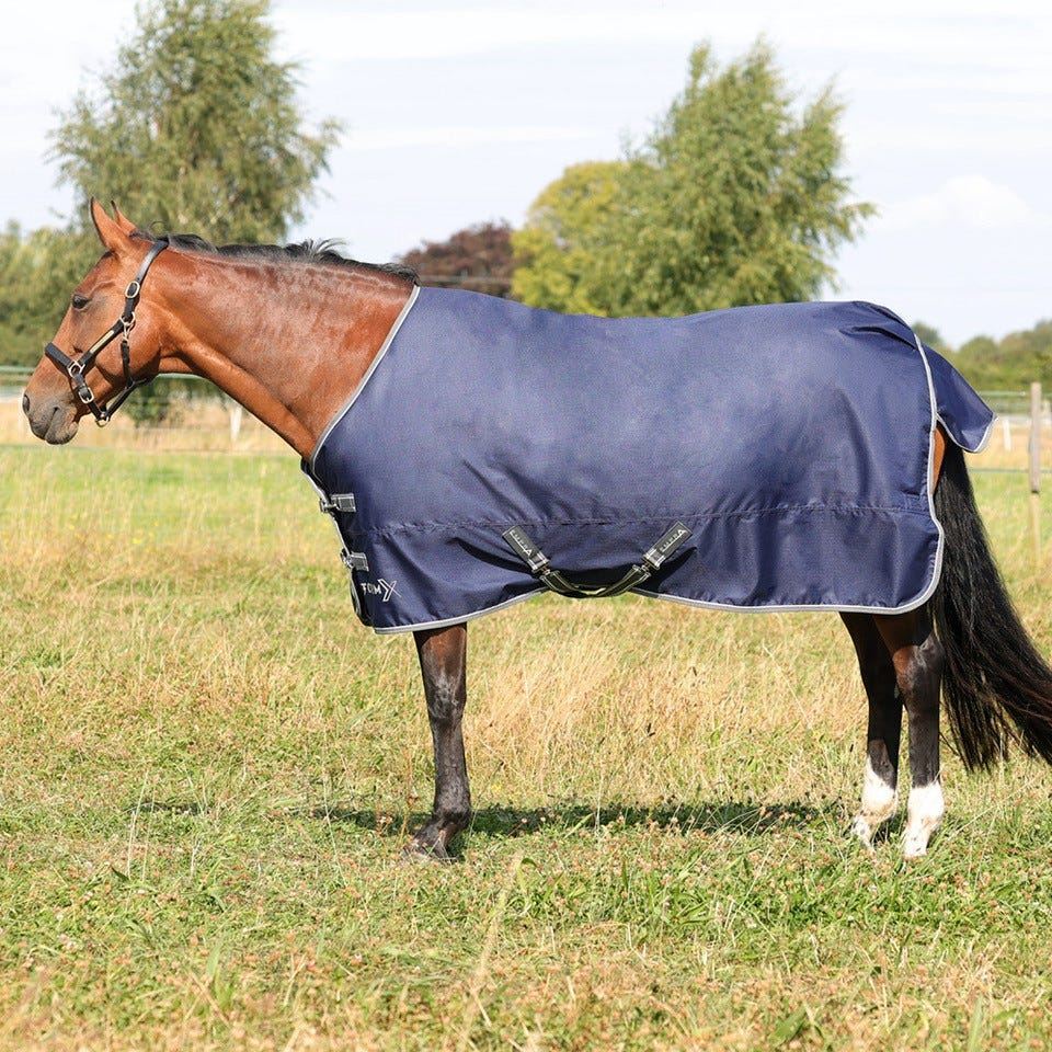 Stormx Empra 100 Turnout Rug – Just Horse Riders
