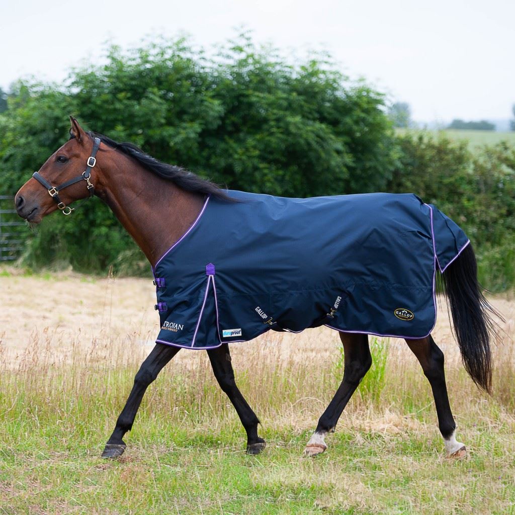 Gallop Equestrian Turnout Rug | Waterproof – Just Horse Riders