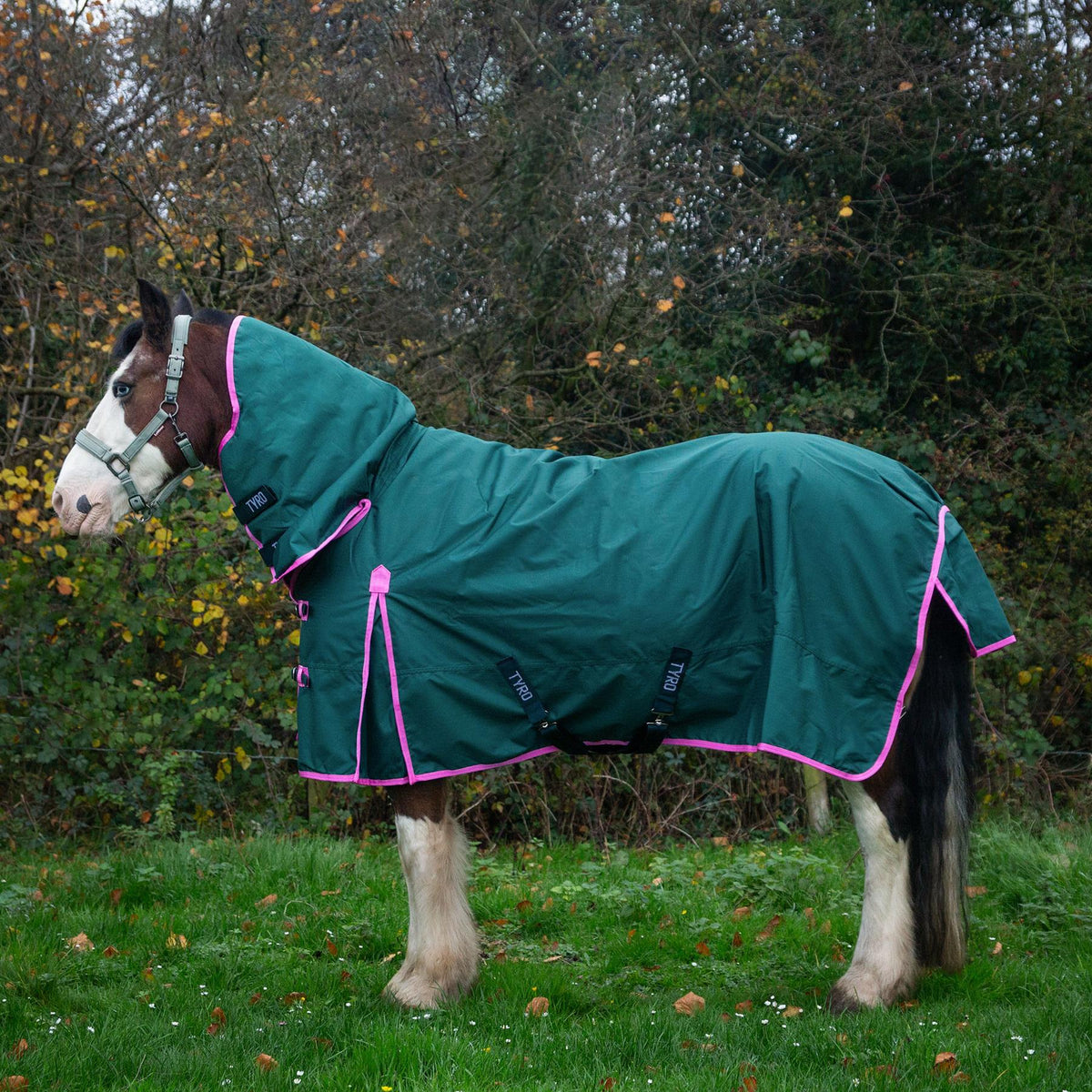 Tyro 50 Combo Turnout Rug 600D 50g | Next Day Delivery – Just Horse Riders