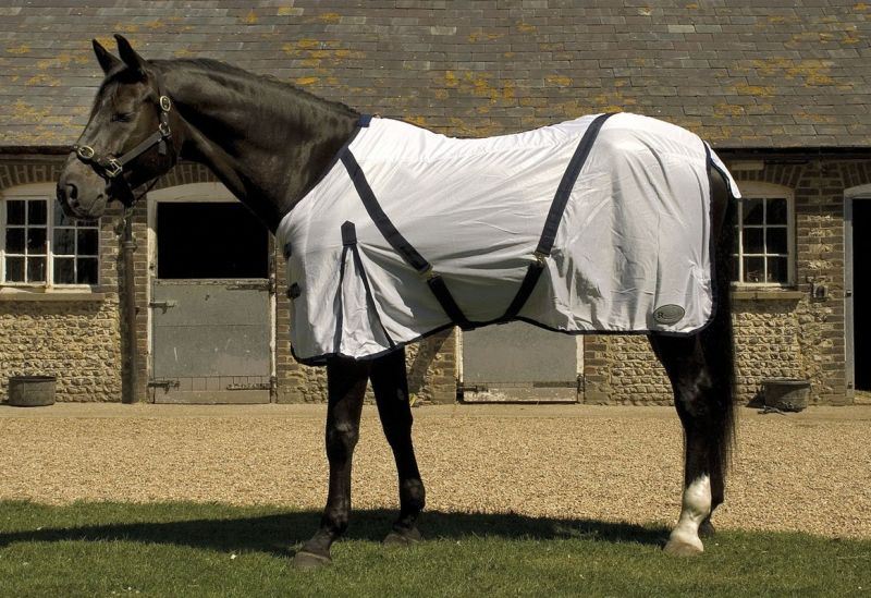 Rhinegold Fly Rug | Next Day Delivery | Breathable – Just Horse Riders