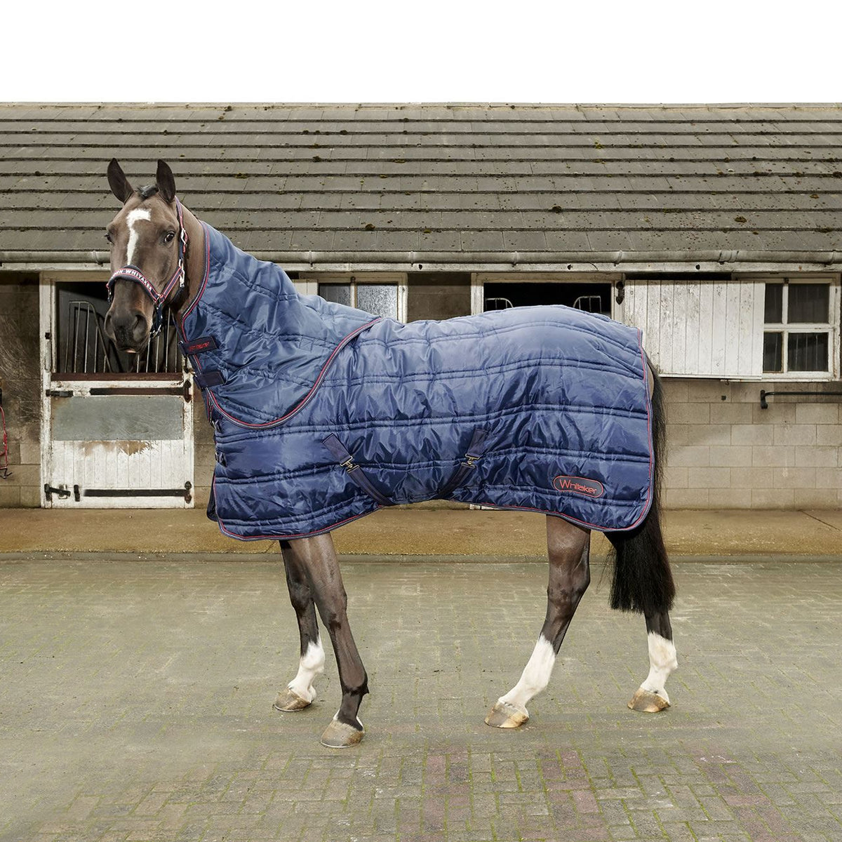 Whitaker Stable Rug Rastrick Combo 250 Gm – Just Horse Riders