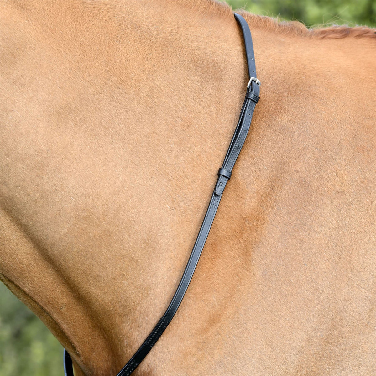 Kincade Classic Leather Neck Strap | Next Day Delivery – Just Horse Riders