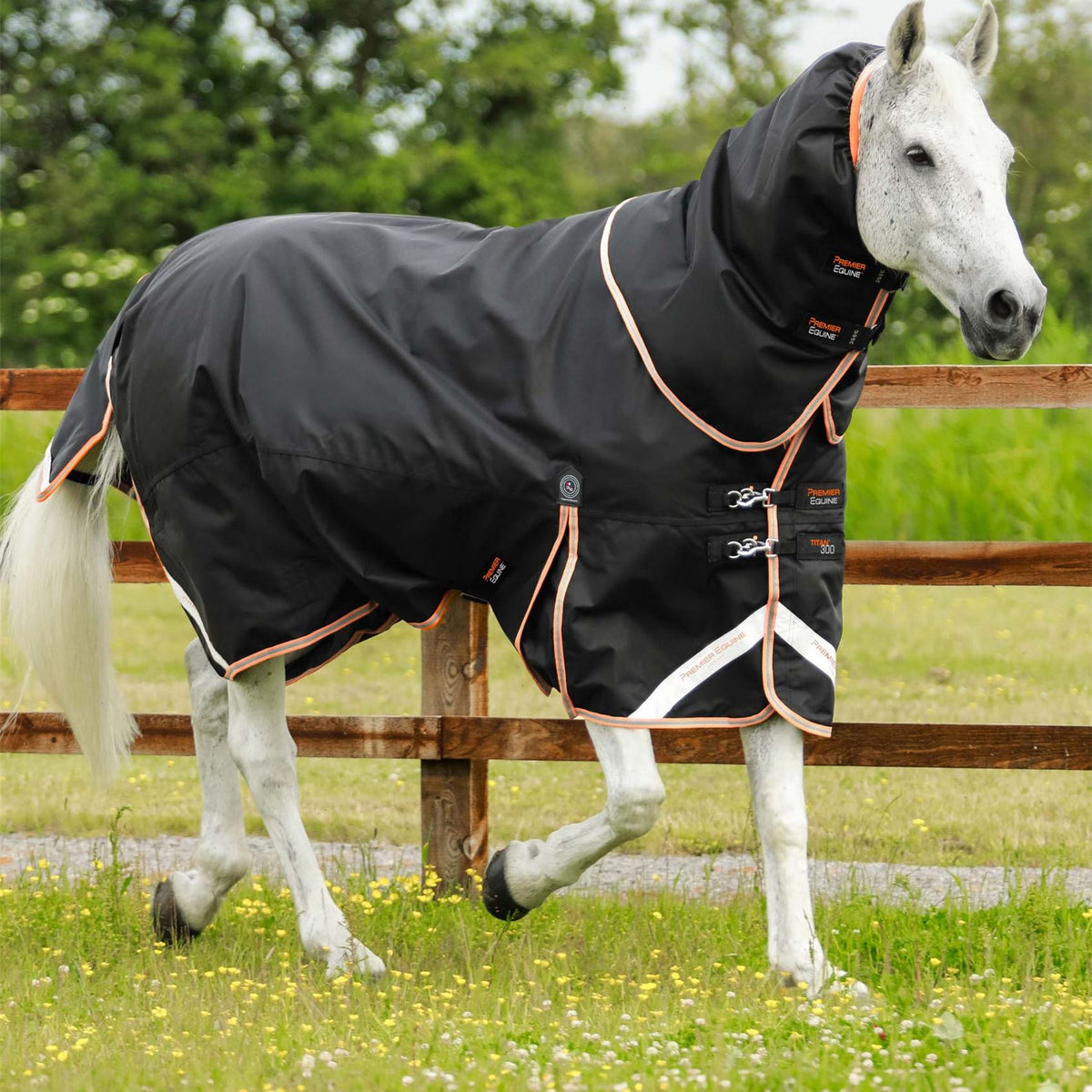 Premier Equine 300g Turnout Rug | Waterproof – Just Horse Riders