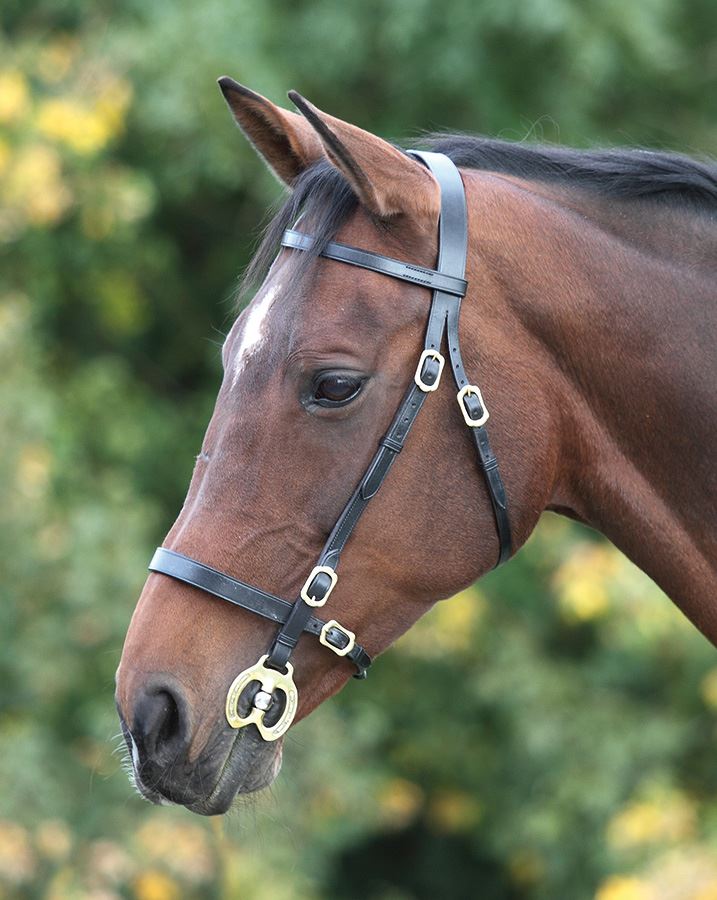 Shires Blenheim Inhand Bridle | Next Day Delivery | Durable – Just ...