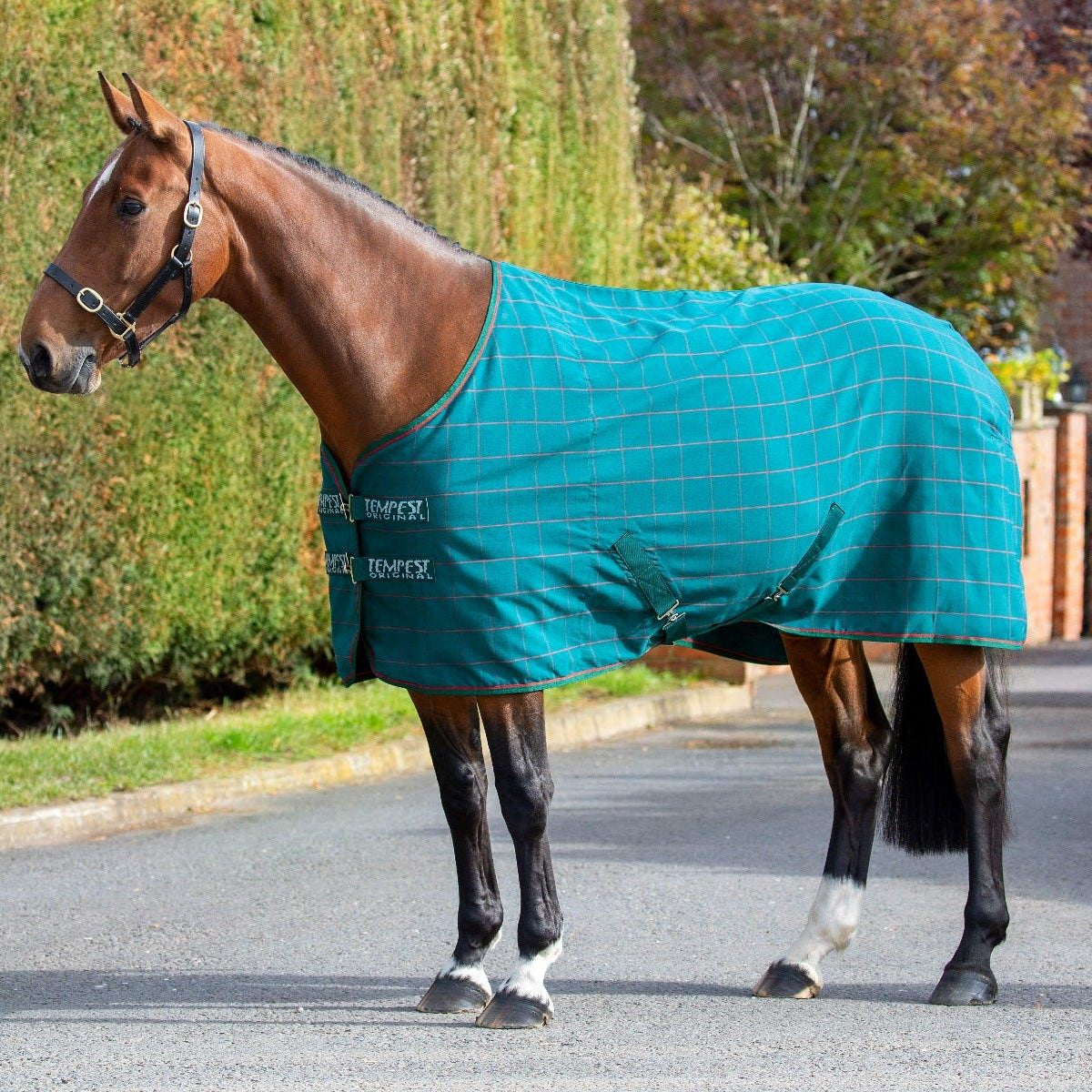 Shires Tempest Original Stable Sheet – Just Horse Riders