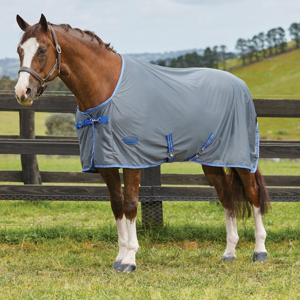 Weatherbeeta Ezi-Dri Standard Neck – Just Horse Riders